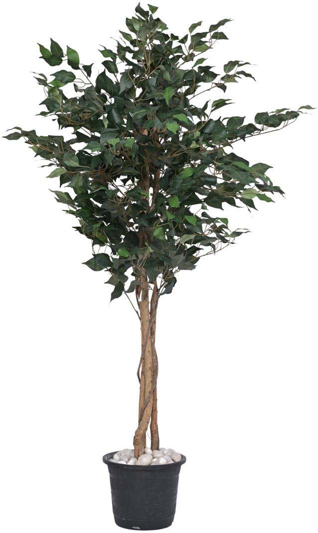 5 Feet Natural Ficus Tree | Ultra Real-Touch Artificial Plant by ...